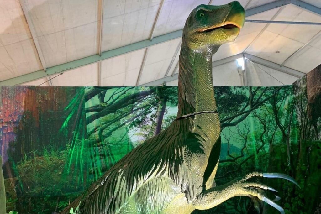 Robotic Dinosaur | Puebla – Robotic Dinosaurs